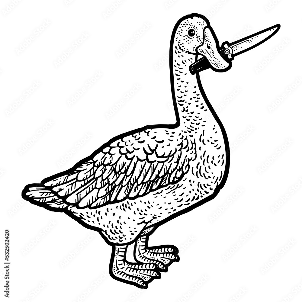 goose with knife line art sketch PNG illustration with transparent ...