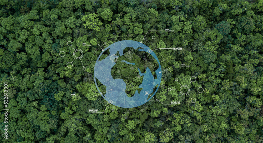 Concept save earth, Green forest tree texture with earth icon, Day ...