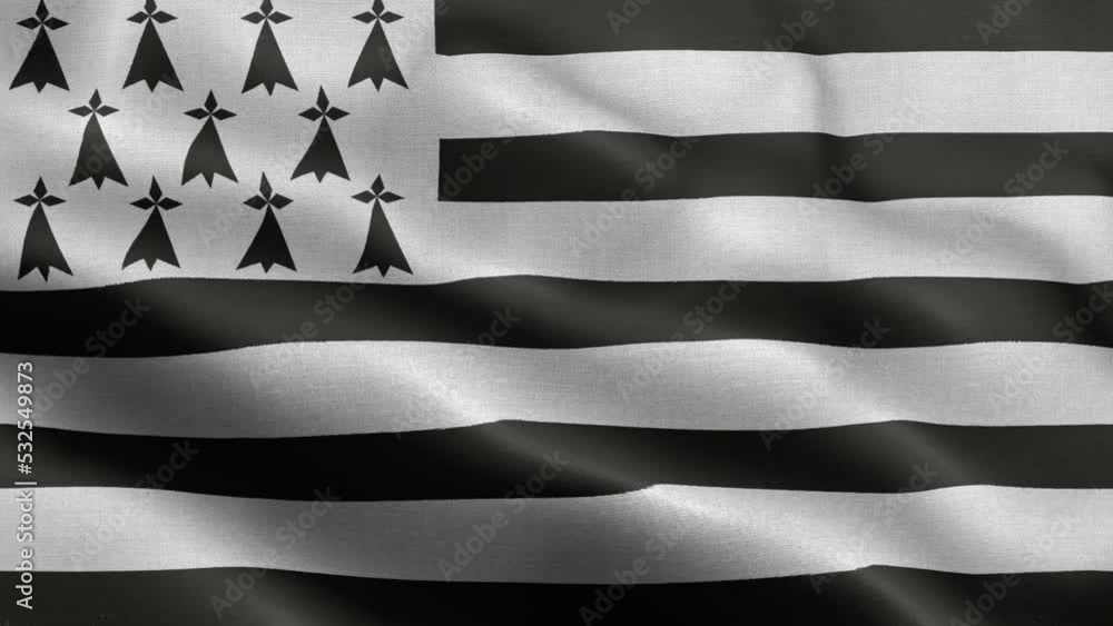 Flag Of Brittany - Brittany Flag High Detail - National flag Brittany ...