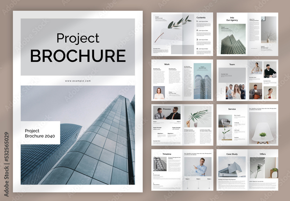 Project Brochure Stock Template | Adobe Stock