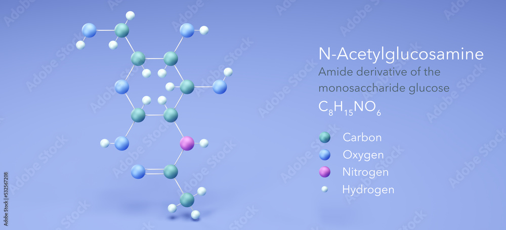 n-acetylglucosamine, molecular structures, monosaccharide glucose, 3d ...