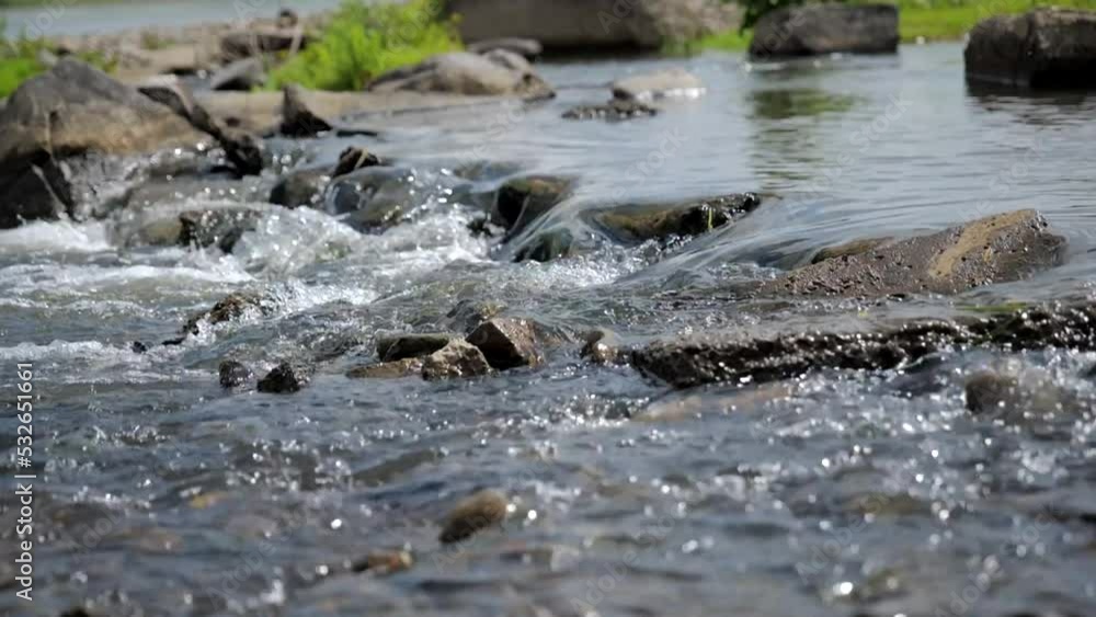 A small river burst its banks. little river Stock Video | Adobe Stock