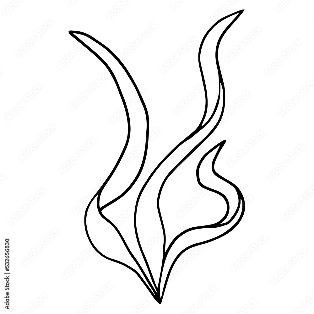 Seaweed with thin long leaves. Contour drawing with black line isolated ...