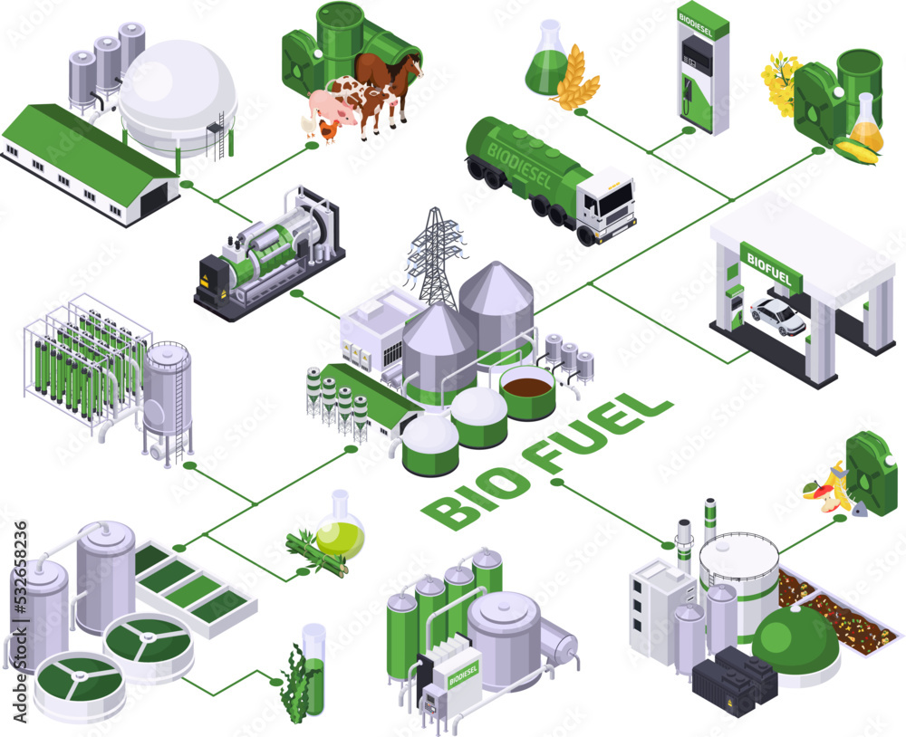Bio Fuel Production Flowchart Stock Vector | Adobe Stock
