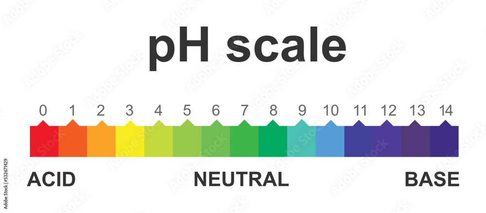 pH scale isolated on white background. Vector illustration Stock Vector ...