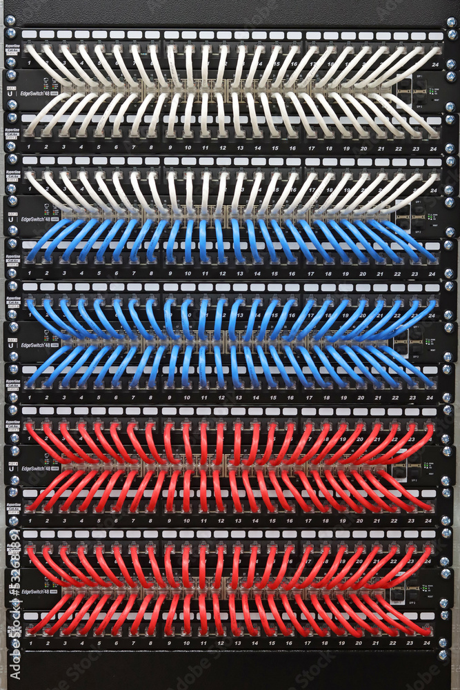 Ethernet switches connected by patch cords to patch panels in the ...