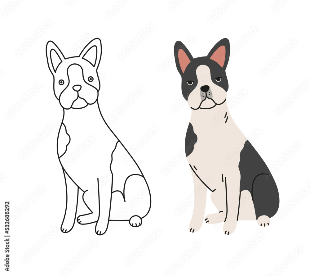 Cute Boston terrier dog vector cartoon illustration. Hand-drawn dog in ...