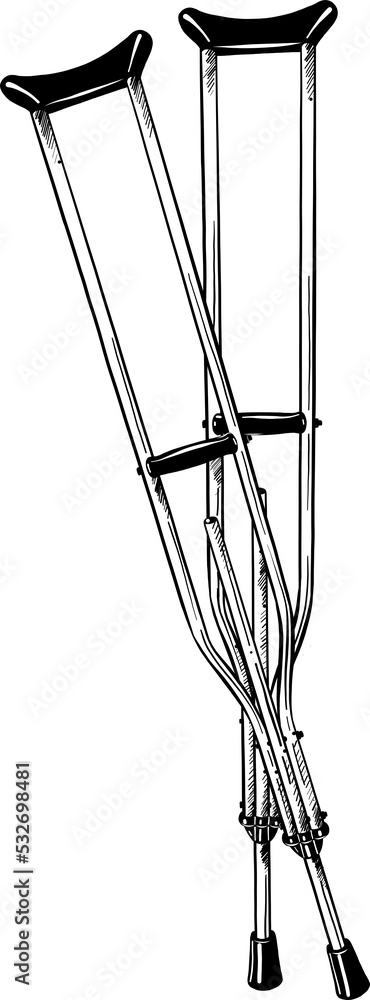 PNG engraved style illustration for posters, decoration and print. Hand ...