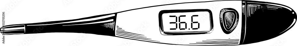 PNG engraved style illustration for posters, decoration and print. Hand ...