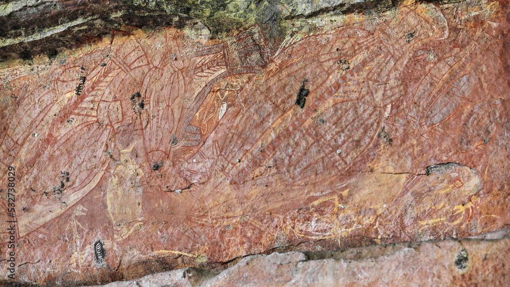 Aboriginal rock art: mullet and barramundi fishes in X-ray style. Ubirr ...