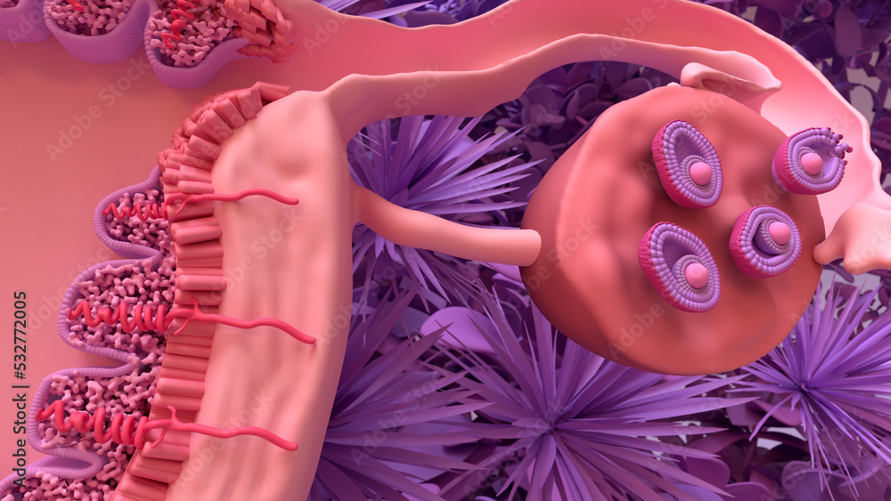Menstrual Cycle Bleeding Menstrual Period Menstruation Phases menstrual-cycle-bleeding-menstrual-period-menstruation-phases