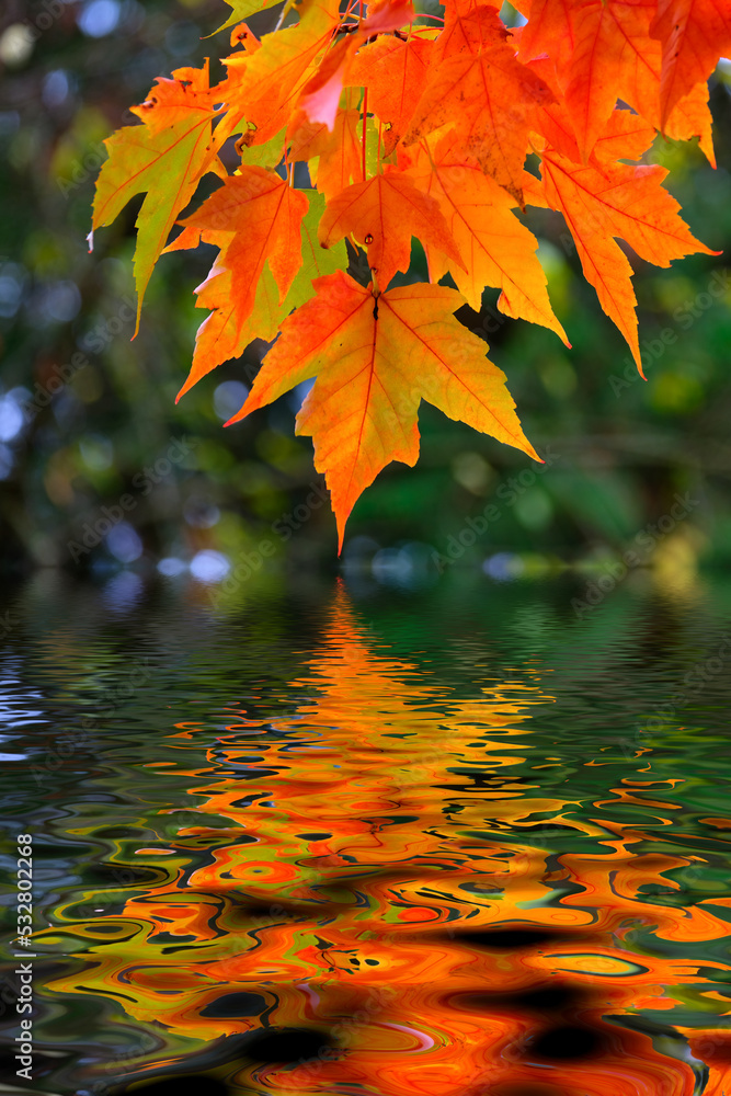 Fall Abstract 02 Stock Photo | Adobe Stock