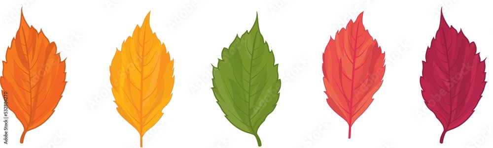 Colorful Leaves, Leaves Vector, Leaves Set, Fall Colors, Leaves Wreath ...