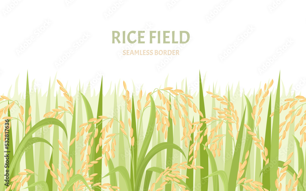 Rice field background. Cereal plants seamless pattern. Vector cartoon ...