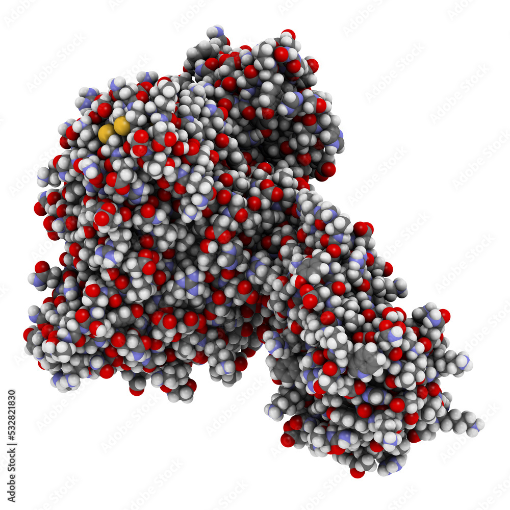 Neuroligin And Neurexin Proteins Complex Formed Between Neuroligin 4 And Neurexin 1 Beta Plays