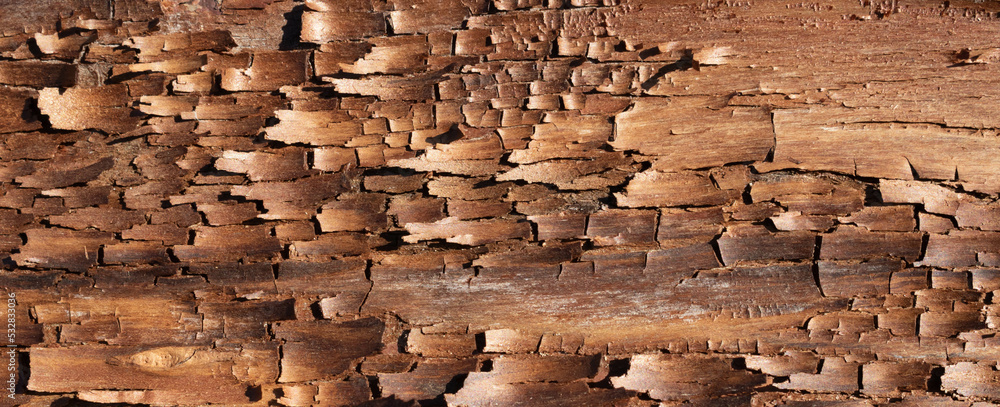 The bark pattern is a seamless wood texture. For background woodwork ...