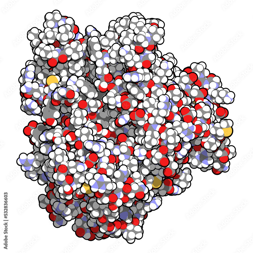 Cytochrome P450 (CYP2D6) liver enzyme in complex with the drug quinine ...