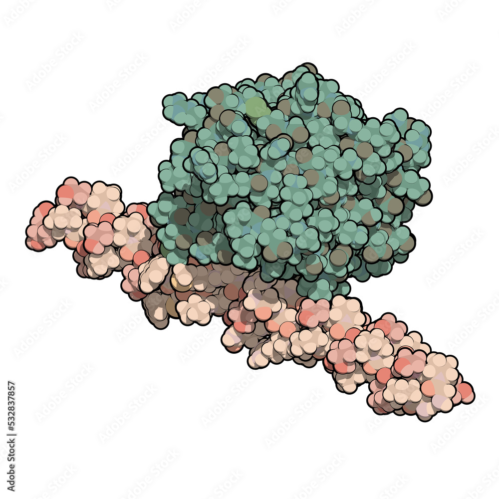 Von Willebrand factor (A3 domain). Defects and deficiencies cause ... Von Willebrand factor (A3 domain). Defects and deficiencies cause ...