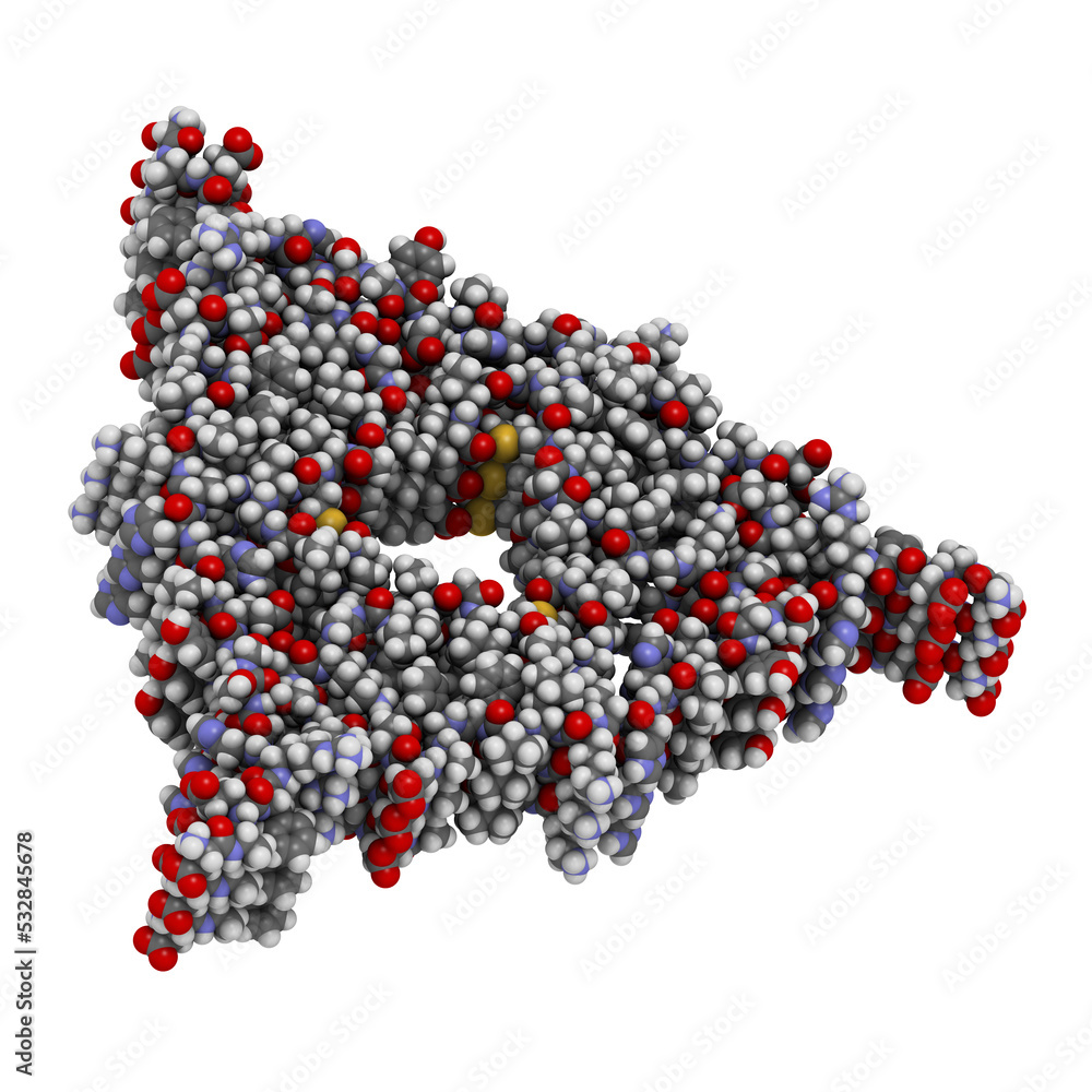 Amyloid beta (Abeta, AB40) fibril structure. Fibrillar aggregates of ...
