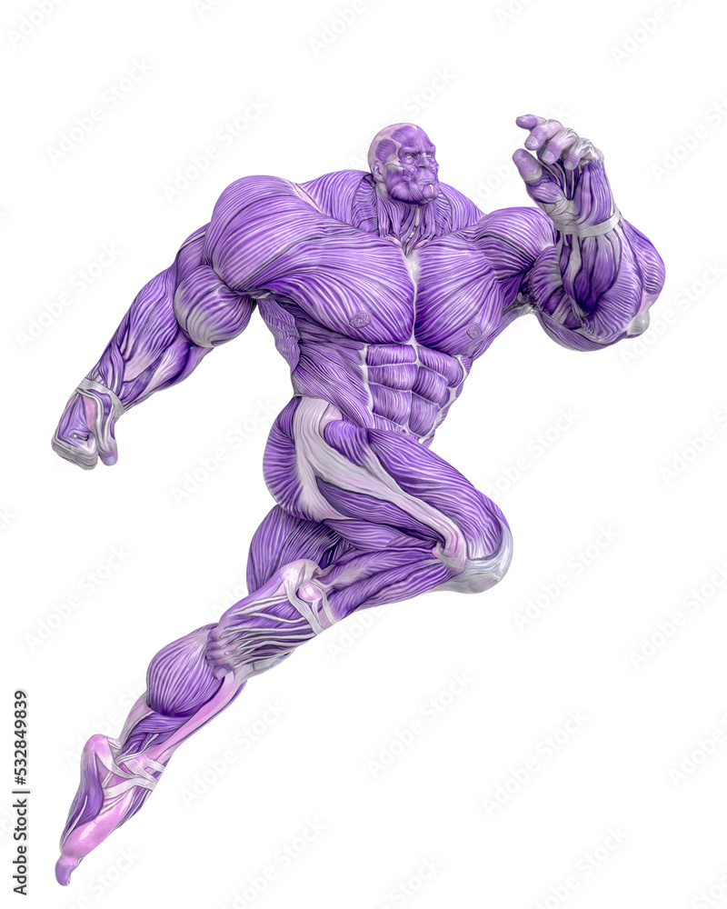 muscle maps of a strong man running Stock Illustration | Adobe Stock
