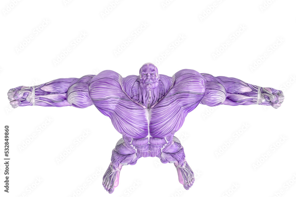 muscle maps of a strong man bird eye view Stock Illustration | Adobe Stock