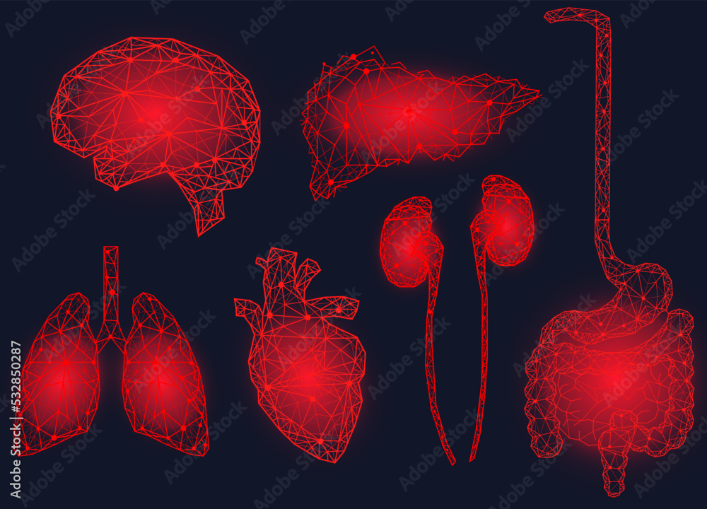 Set of polygonal human organs made of red lines and dots. Medical ...