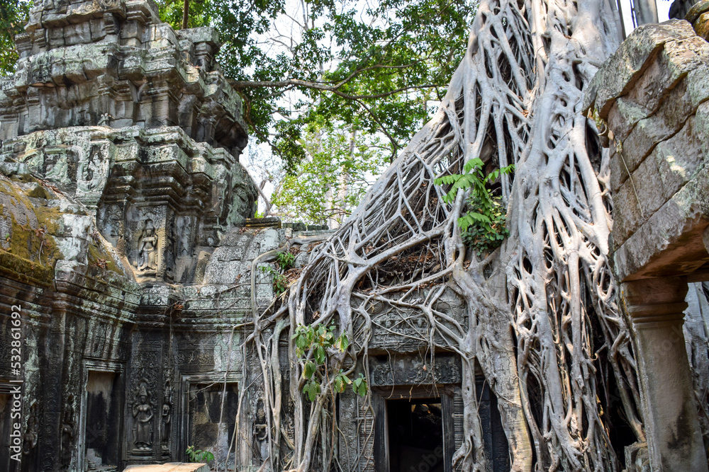 Tree roots hugging the Khmer building. Ta Prohm was a Buddhist temple ...