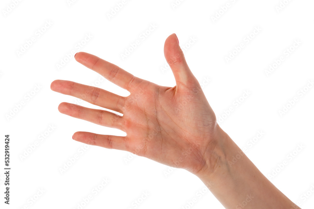 Female hand showing five fingers isolated on transparent background ...