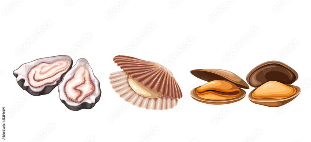 Shellfish in seashells set vector illustration. Cartoon isolated sea ...