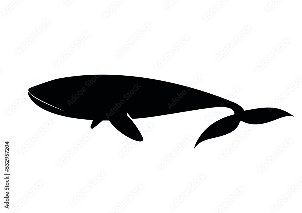 Vector de ballena azul Stock Vector | Adobe Stock