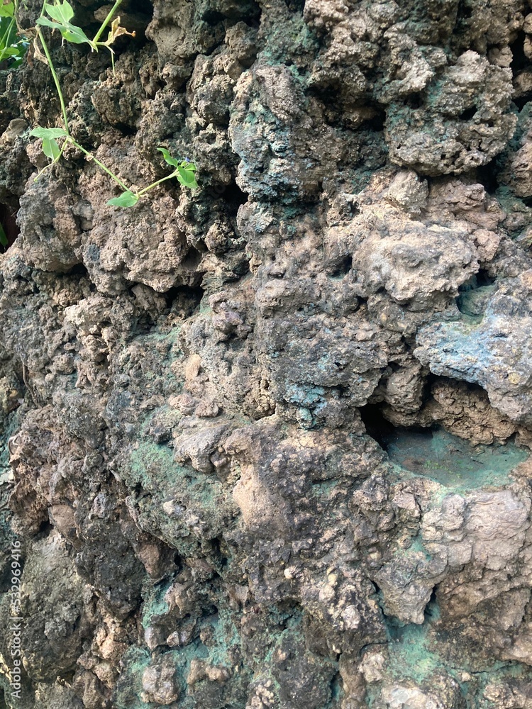 Entrance to a mini cave in the park. Cave entrance The concept of the ...