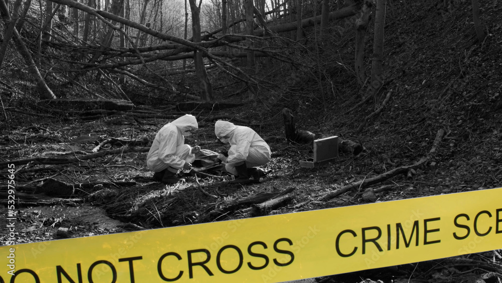 Detectives are collecting evidence in a crime scene. Forensic ...