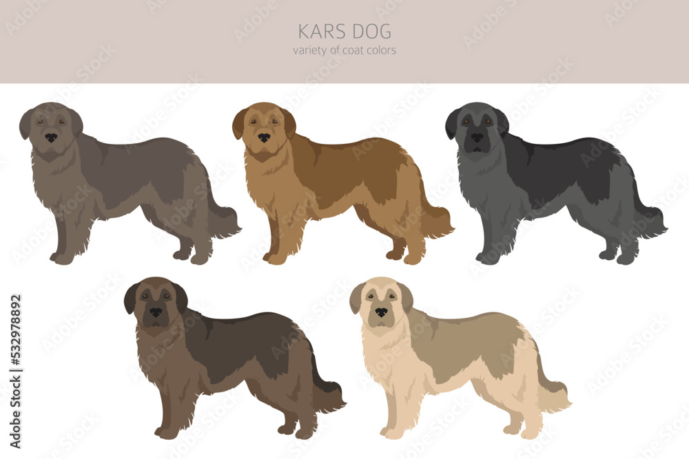 Kars dog clipart. Different coat colors set Stock Vector | Adobe Stock