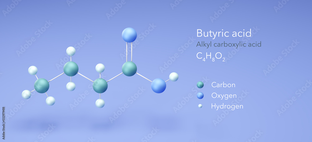 butyric acid, molecular structures, Alkyl carboxylic acid, 3d model ...