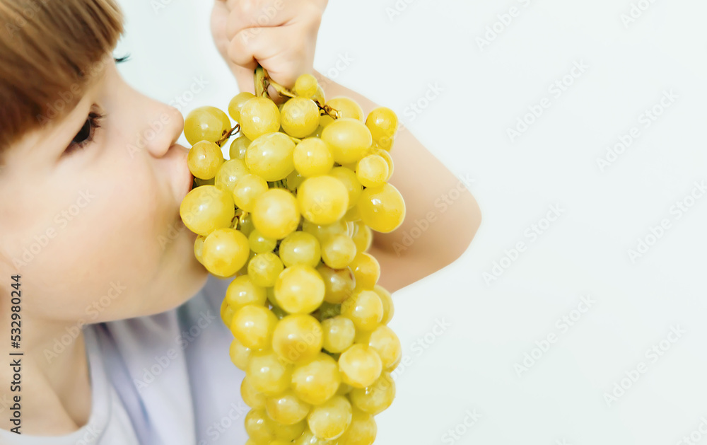 Funny little girl eating grapes on a white background.A little girl enjoys delicious, sweet ...