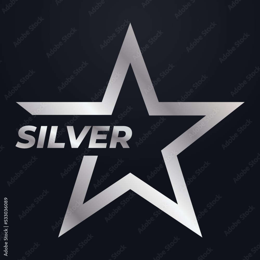 Luxury Silver star logo Symbol Vector designs template, Elegant Style ...