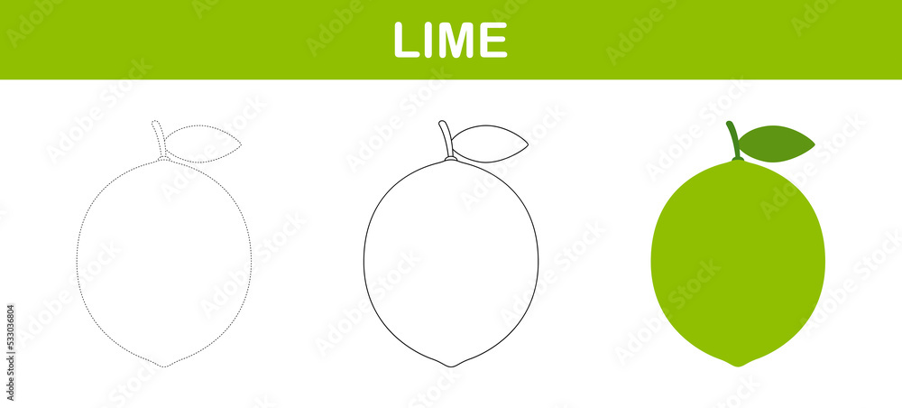 Lime tracing and coloring worksheet for kids Stock Vector | Adobe Stock