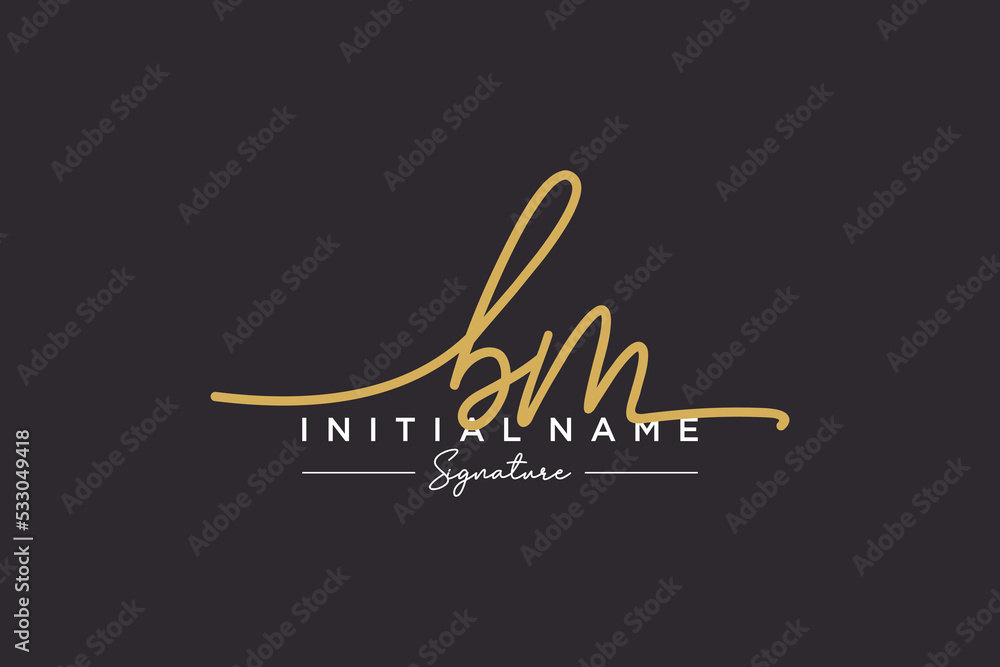 Initial BM signature logo template vector. Hand drawn Calligraphy ...