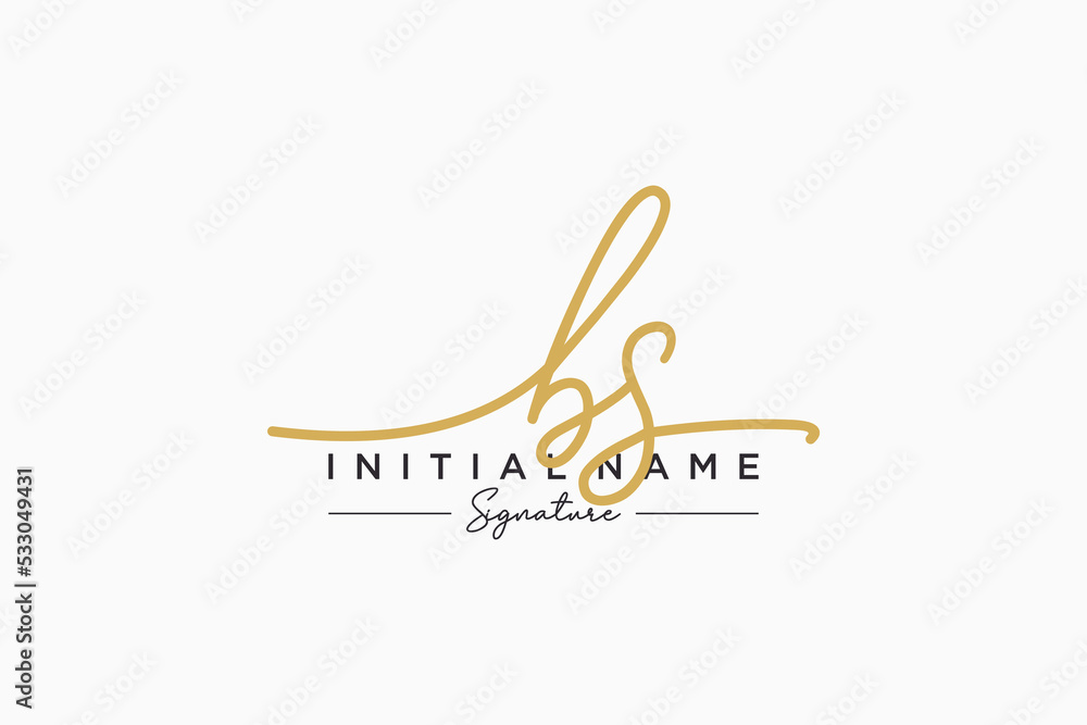 Initial BS signature logo template vector. Hand drawn Calligraphy ...