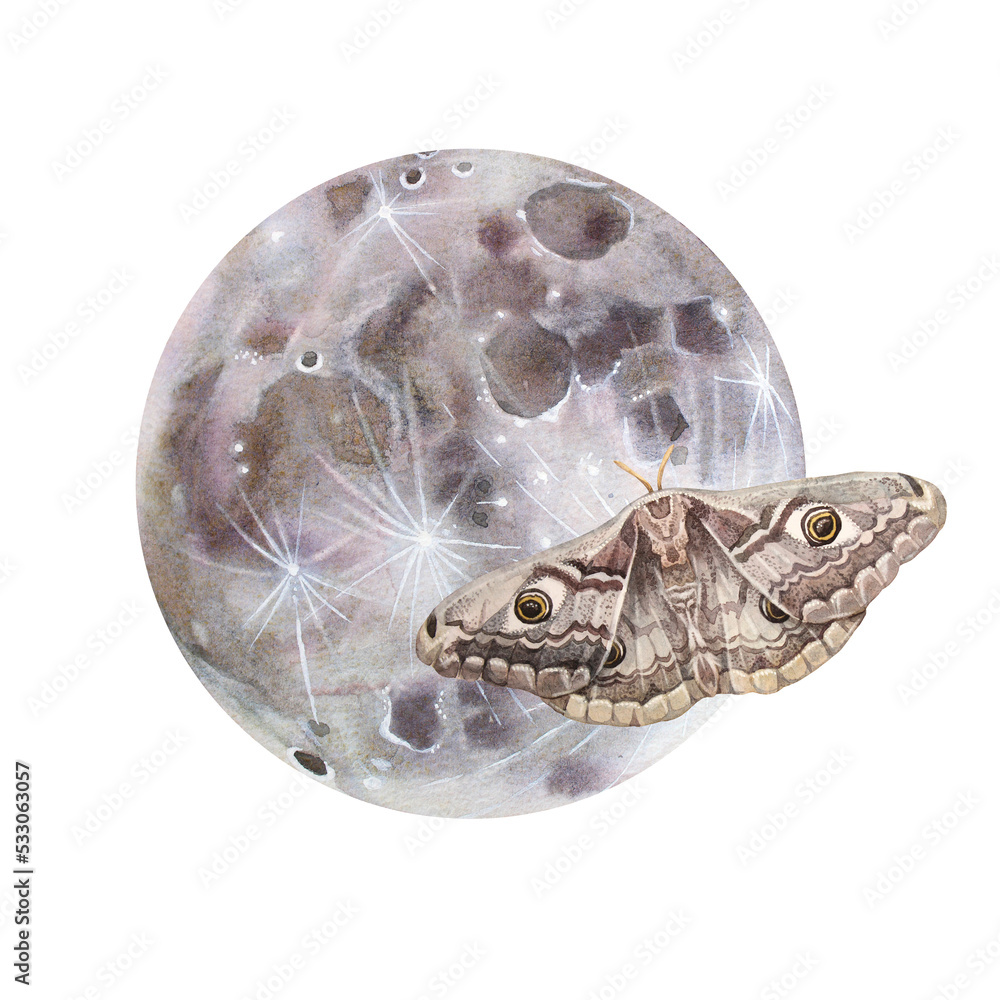 Watercolor magic moon with moth isolated on white background. Hand ...