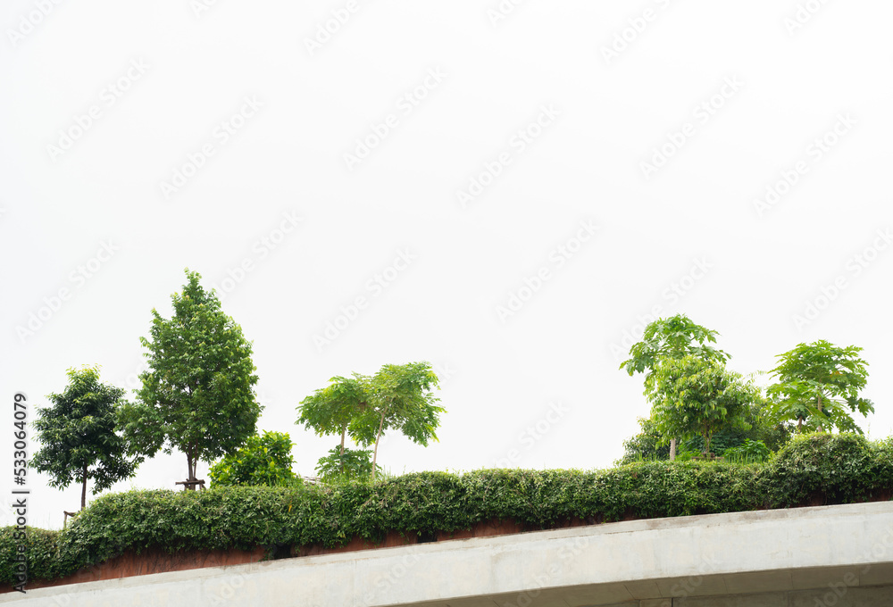 fresh tree garden landscape exterior on rooftop modern building with ...