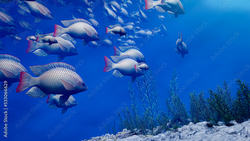 Flocks of fish swim in groups, the underwater circle is shining down ...