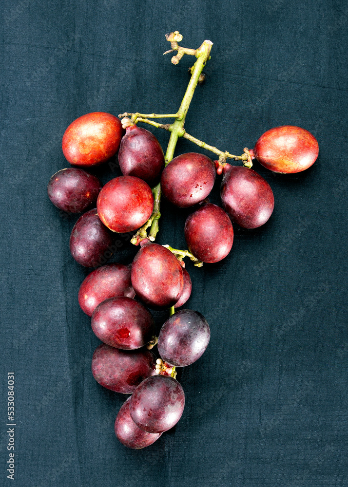 Roktogota or Blood fruit is a woody climber and it is very popular ...