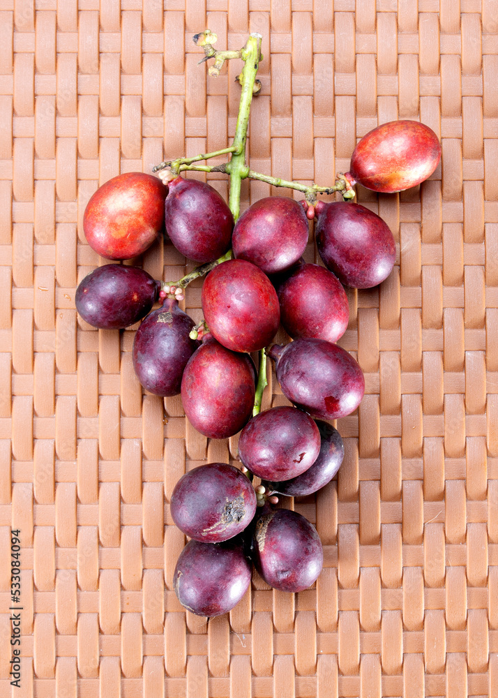 Roktogota or Blood fruit is a woody climber and it is very popular ...