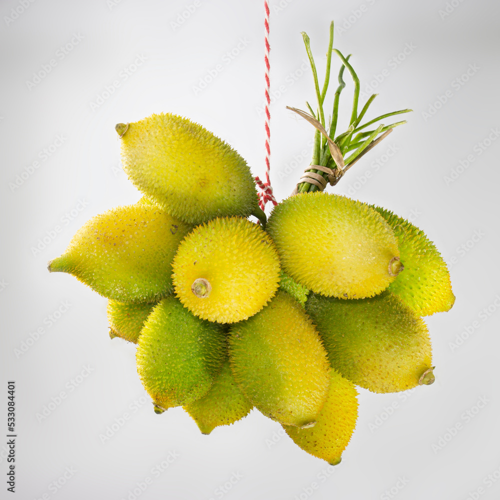 Green Prickly Vegetable