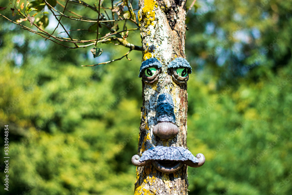 the face of the tree in the forest with a mustache and blue eyes Stock ...