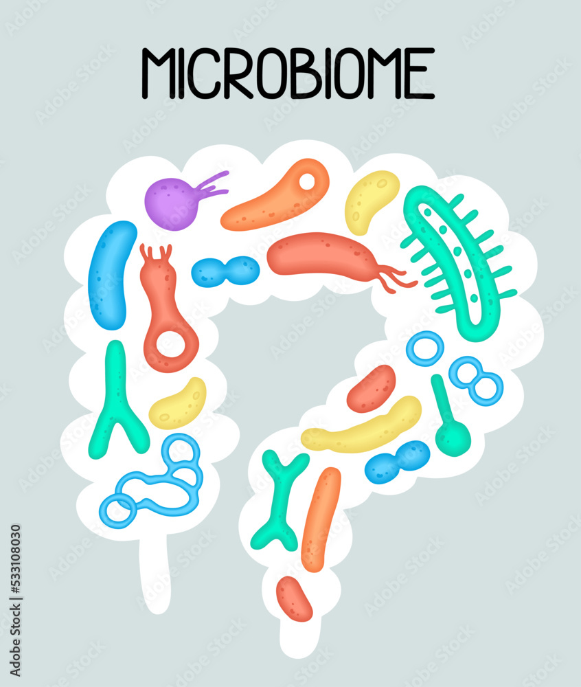 Human microbiome illustration with intestines and bacteria Vector ...