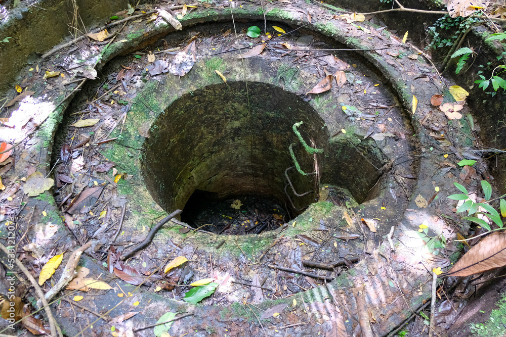 The entrance and steps to an underground WW2 bunker found in the forest ...