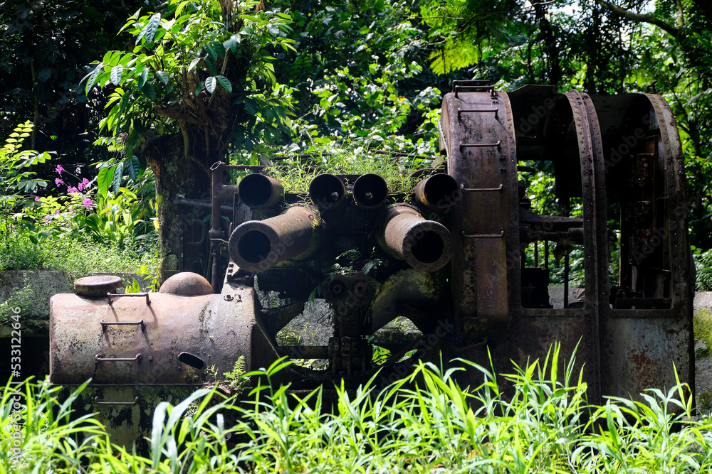 A anti aircraft gun deep in the jungle from WW2 on the remote tropical ...