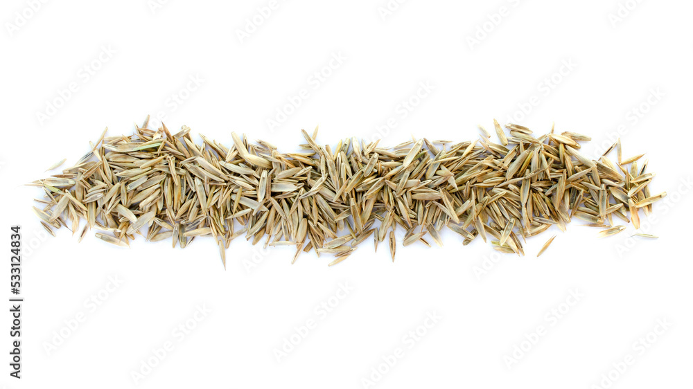 Pile of lawn grass seeds isolated on white background, top view. Dry ...